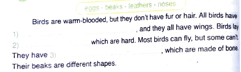 Grade 4 – plus- unit 3 - Flame